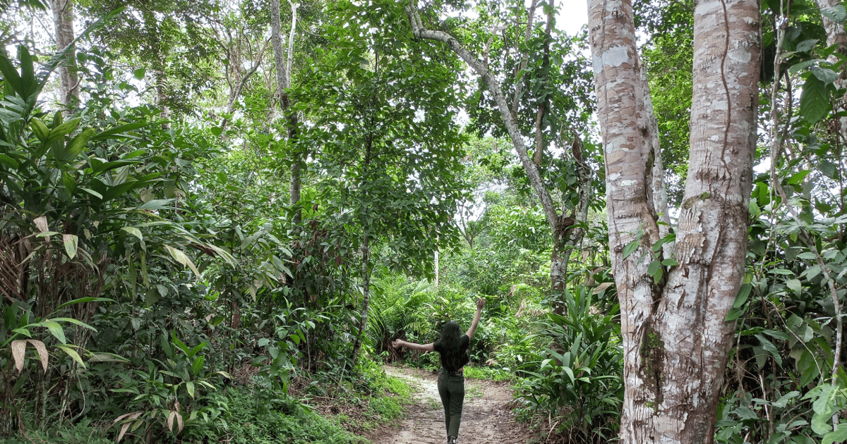 Iquitos: Tratamiento Curativo con Plantas Medicinales | GetYourGuide