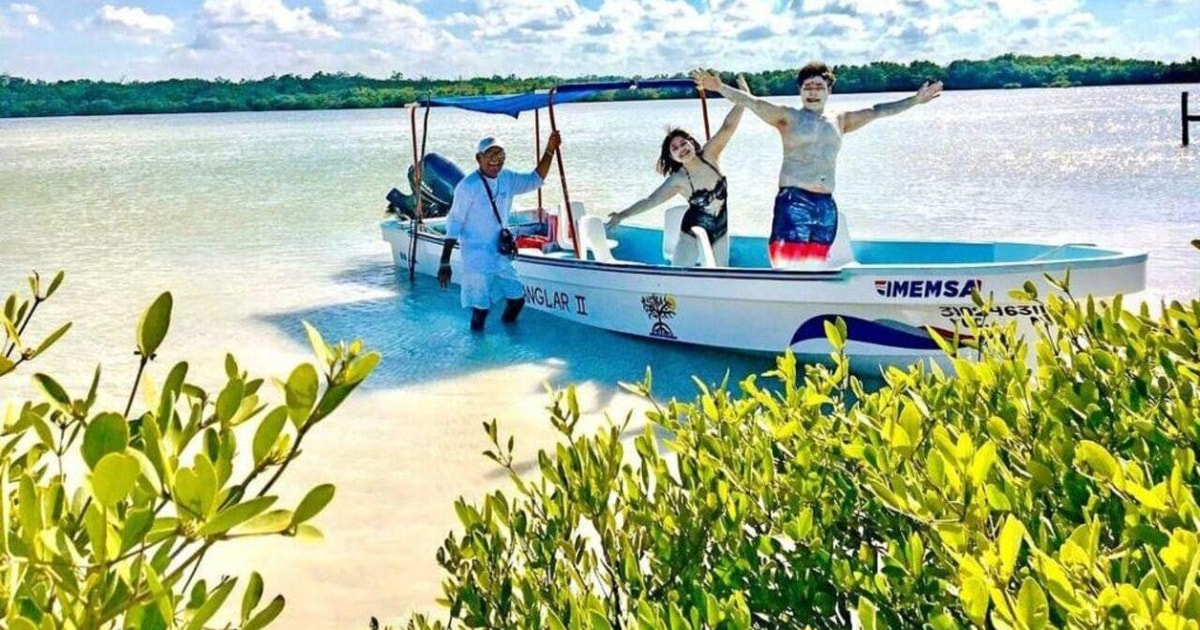 Tulum: Biosfera del Río Lagartos y Lago Rosa Coloradas Guiado ...