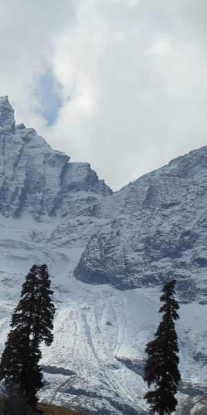 Magical Kashmir Tour | GetYourGuide