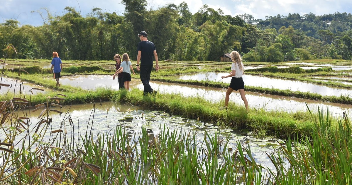 Flores'te 6 Gün | GetYourGuide