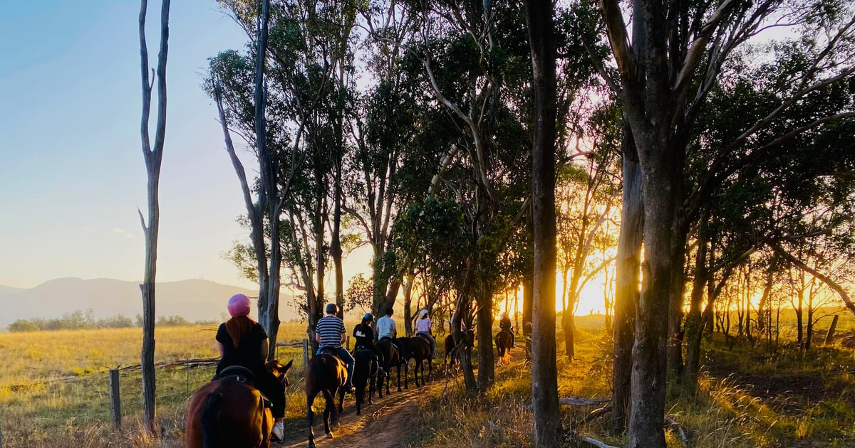 Hunter Valley: Sunset Horse Riding Tour | GetYourGuide