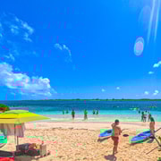 Nassau: Sun Cay Day Trip, Snorkel, Iguana Encounter, & Lunch | GetYourGuide