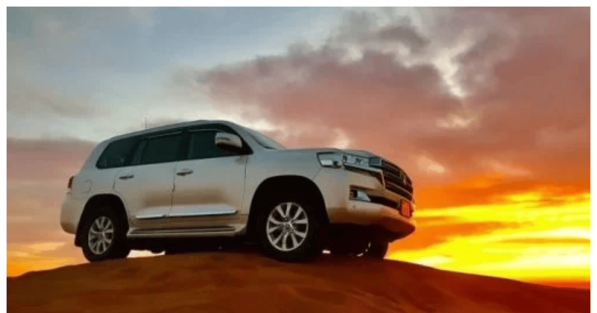 Doha : Safari, balade à dos de chameau, planche à sable et visite de la ...