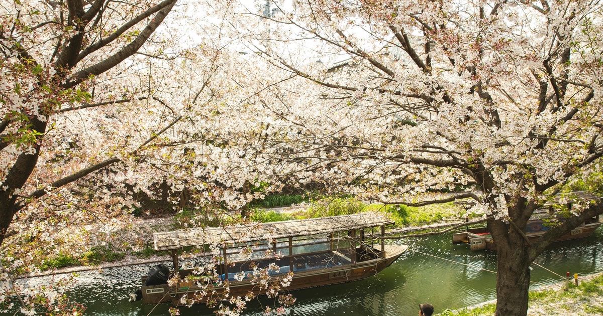 Kioto: tour por el distrito del sake de Fushimi con paseo en barco ...