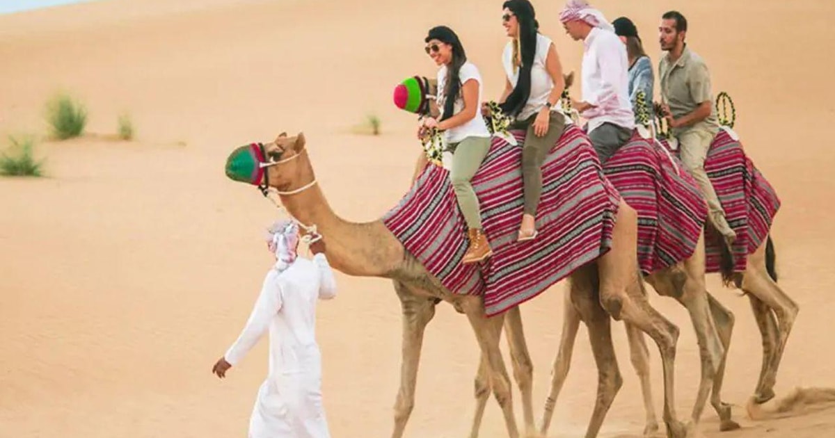 Doha: familietour door de woestijn met kamelenrit, ATV en lunch ...