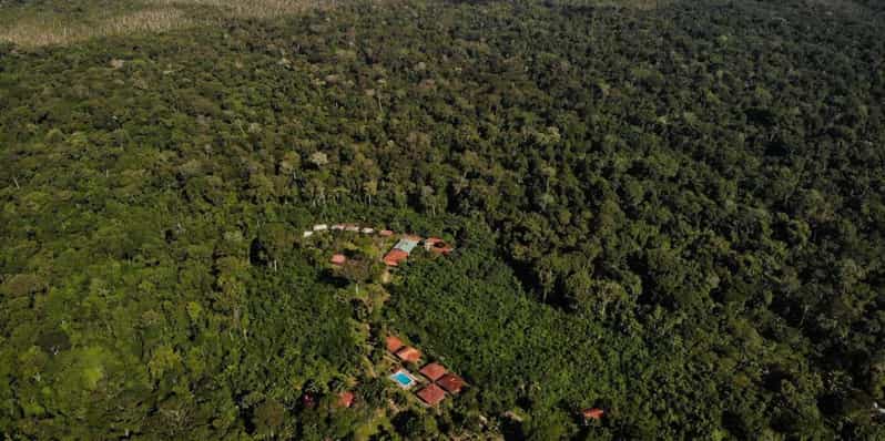 In-Depth Amazon Experience - 4 Days inside Rainforest | GetYourGuide