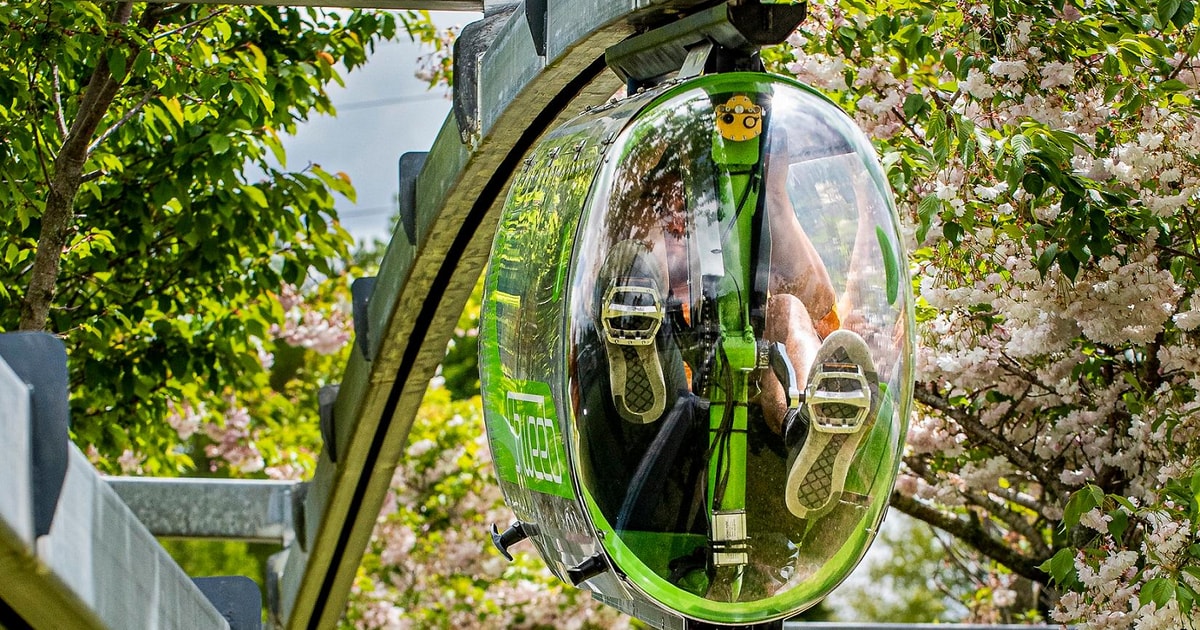 Rotorua: Velocity Valley Pick Four Pass | GetYourGuide