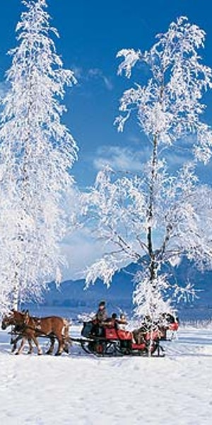 From Salzburg: Romantic Sleigh Ride through the Countryside | GetYourGuide