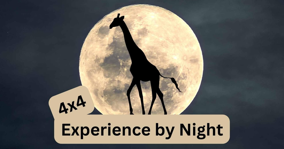 Victoria Falls Park: 4x4 Experience by Night in Vic Falls | GetYourGuide