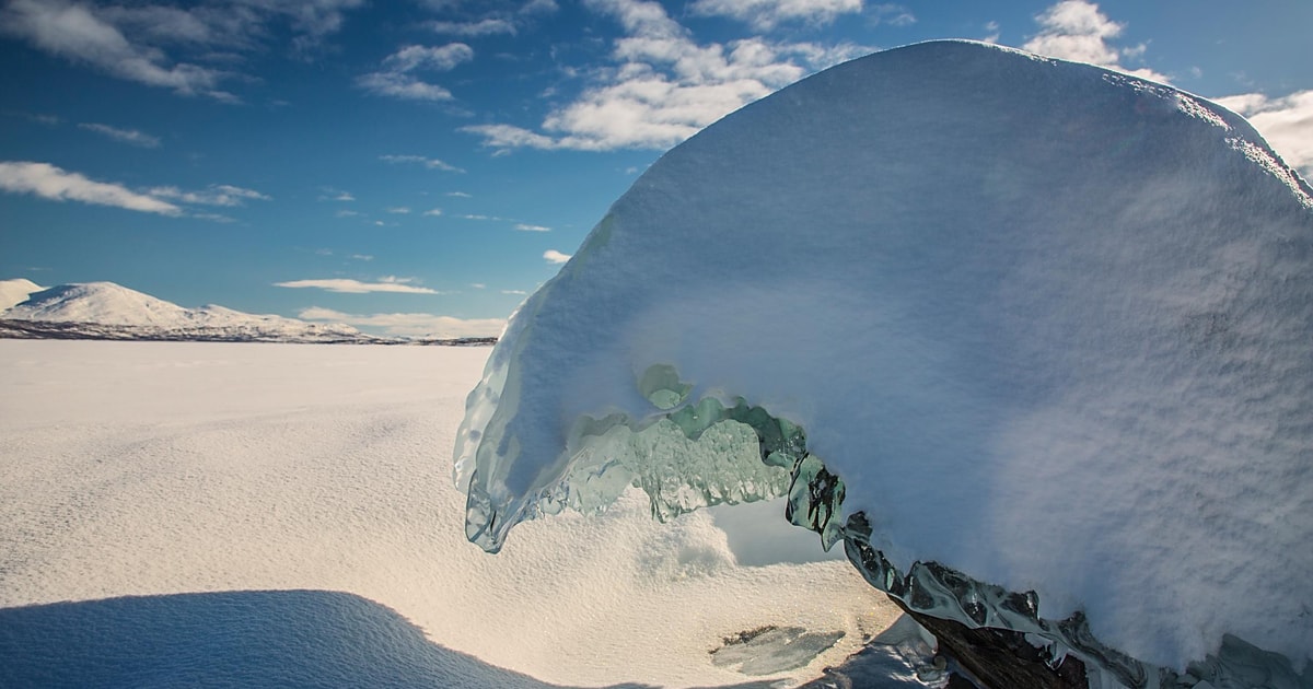 Kiruna: Daytime Snowshoe Hike | GetYourGuide
