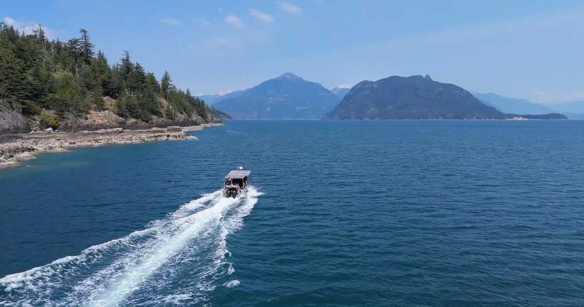 Vancouver: excursión en barco por la fauna y el paisaje de Howe Sound ...