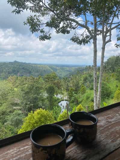 Tour bali swing luwak coffe rice terrace Nungnung waterfalls | GetYourGuide