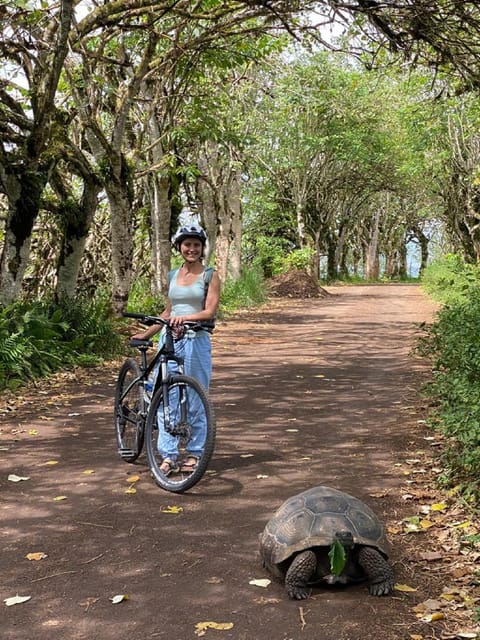 Galapagos: Route mit dem Fahrrad, Tortoise Bike Rute | GetYourGuide