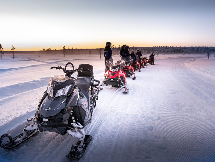 Levi: 3 Hour Snowmobile Safari Around Levi with Coffee Break | GetYourGuide