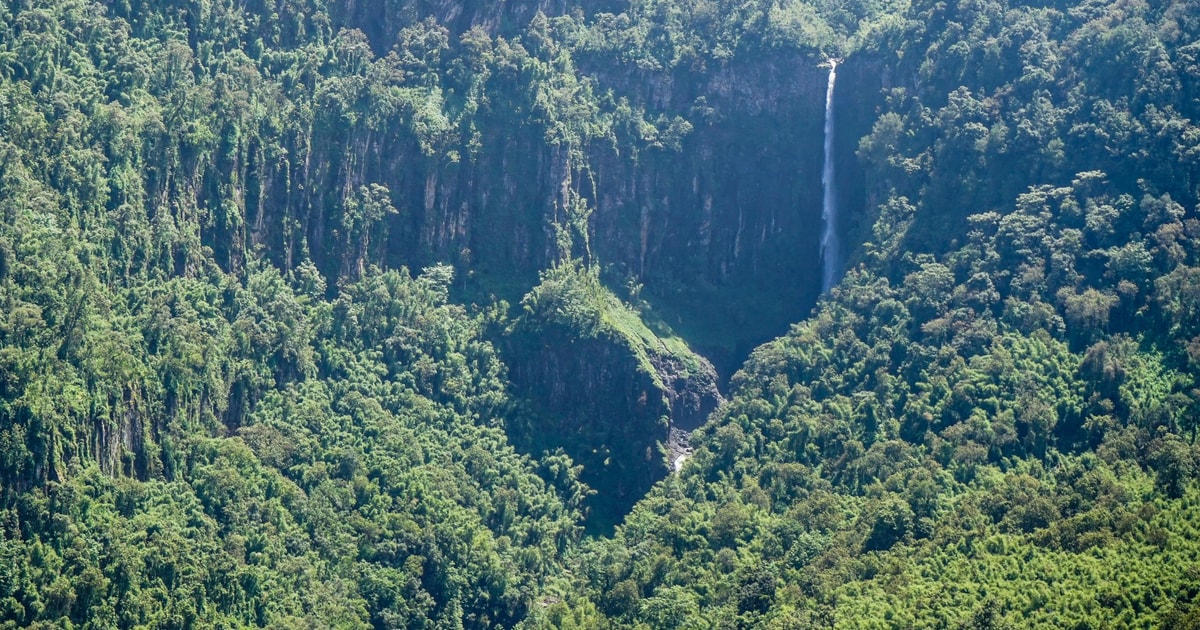 Excursión de un día al Parque Nacional de Aberdare desde Nairobi ...