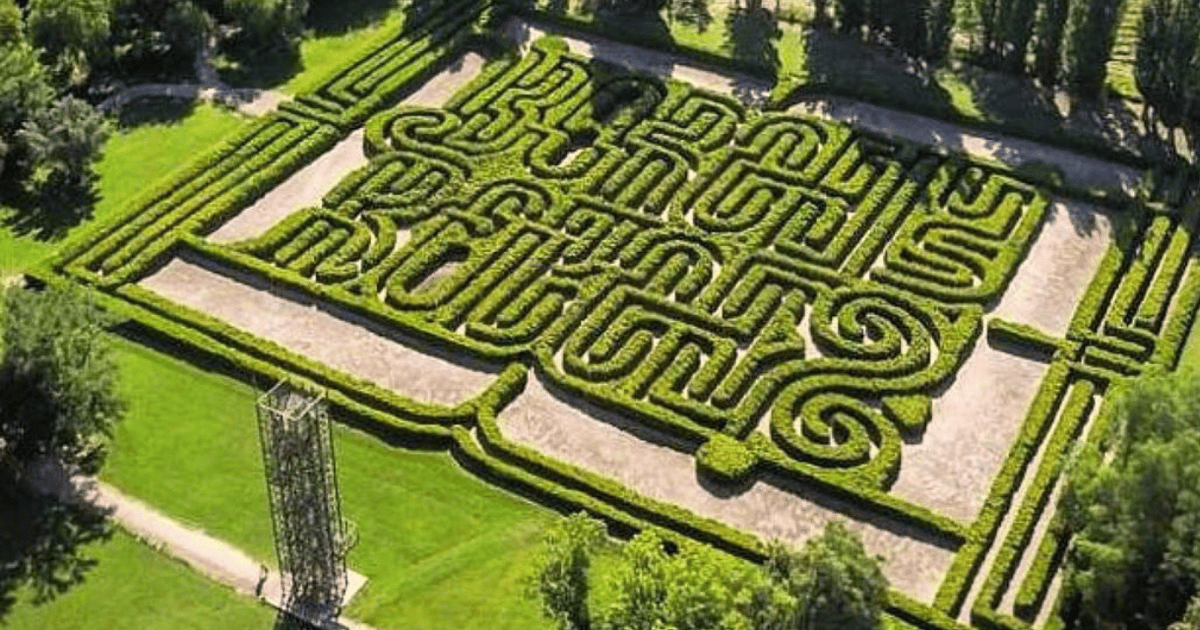 Laberinto y Bodega de Borges: Almuerzo y Taller Literario | GetYourGuide