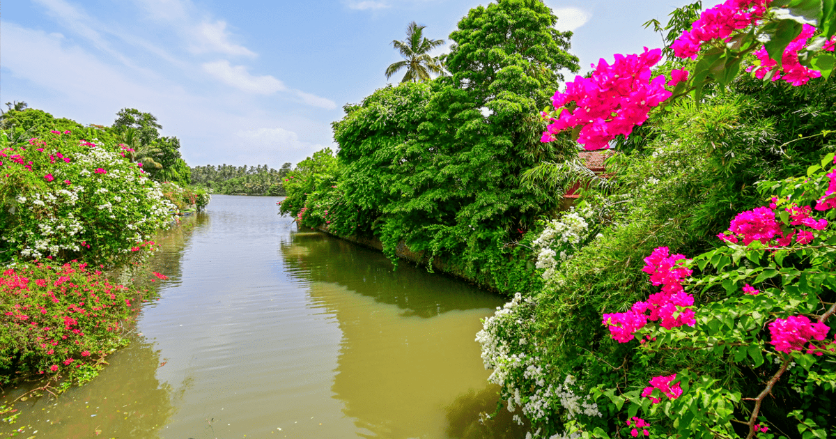 Negombo Lagoon & Dutch Canal Sunset Boat Tour | GetYourGuide