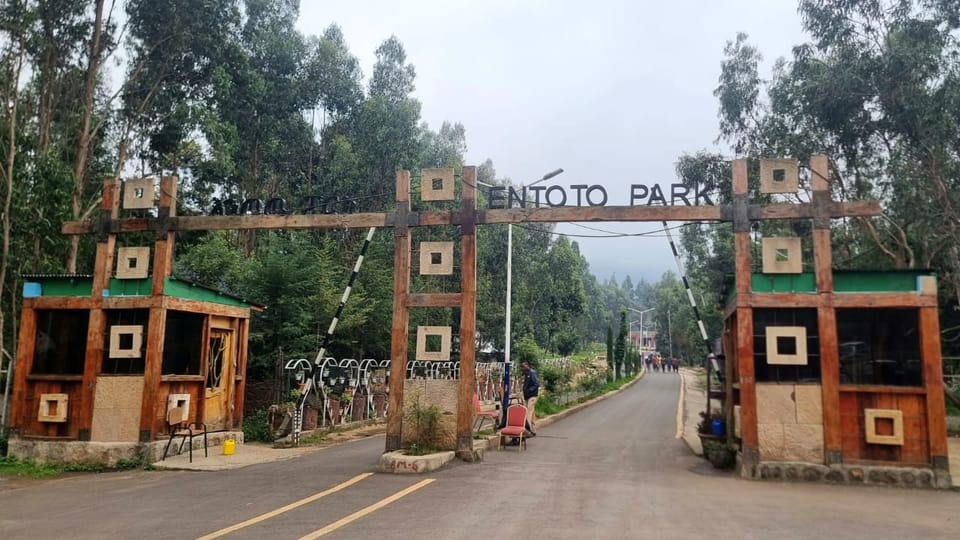 Best of Addis Ababa | GetYourGuide