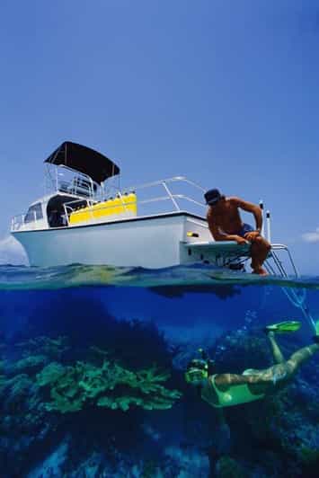 Discover Scuba Diving on St. Maarten | GetYourGuide