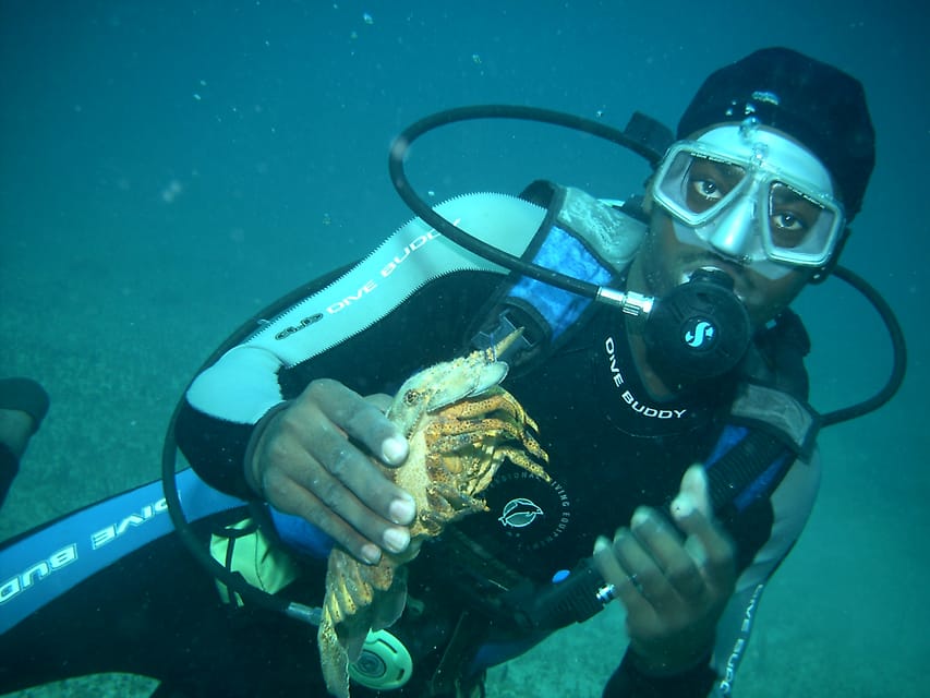 Discover Scuba Diving on St. Maarten | GetYourGuide