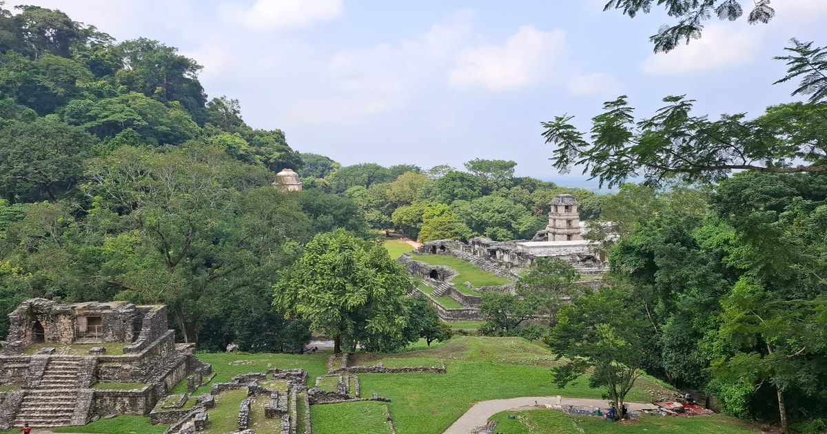 Walking tour in the archaeological site and jungle of Palenque ...