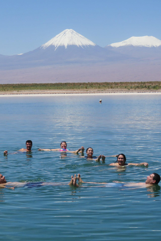 Cejar & Tebenquiche Lagoons Tour with Ojos del Salar Atacama | GetYourGuide