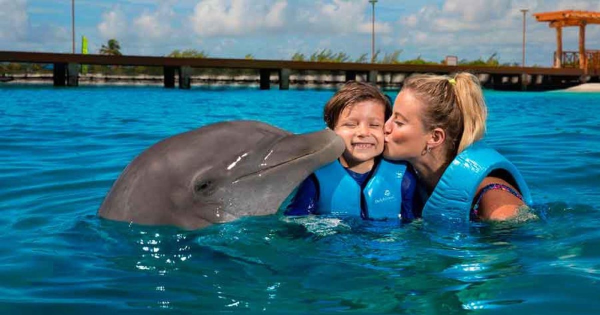 Cancún - Dolphin Cat & Swim Adventure | GetYourGuide