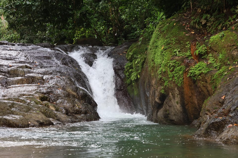 Quepos Waterfall Tours: New Adventures Await! | GetYourGuide