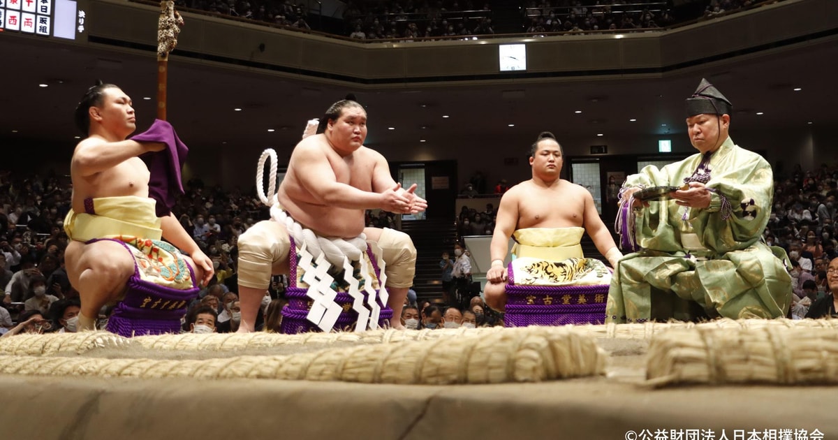 Osaka: 2026 Sumo Tournament Tour with Chanko-nabe Lunch | GetYourGuide