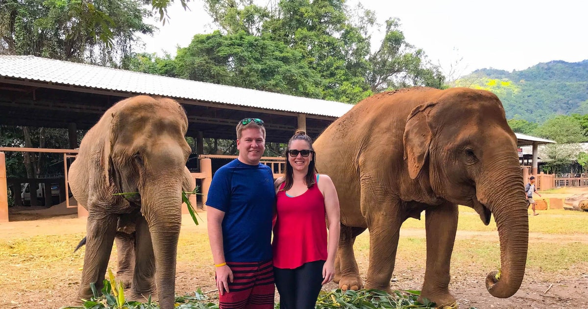 De Deli: Taj Mahal, Forte de Agra e Excursão de Resgate de Elefantes ...