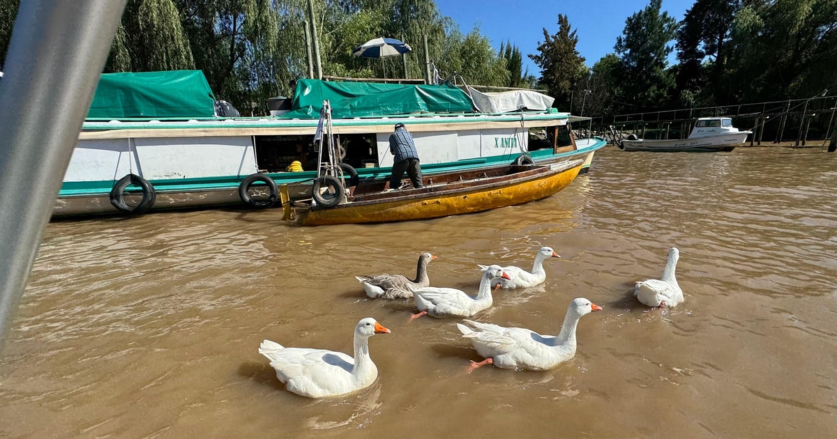 Unique Tigre and Delta Private Day Cruise Navegation | GetYourGuide