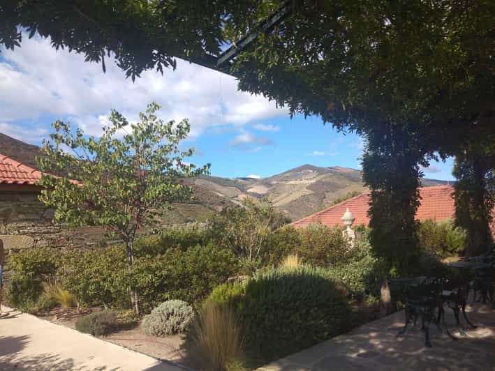Pinhão: Douro Valley with Wine Tasting, Boat Trip and Lunch | GetYourGuide