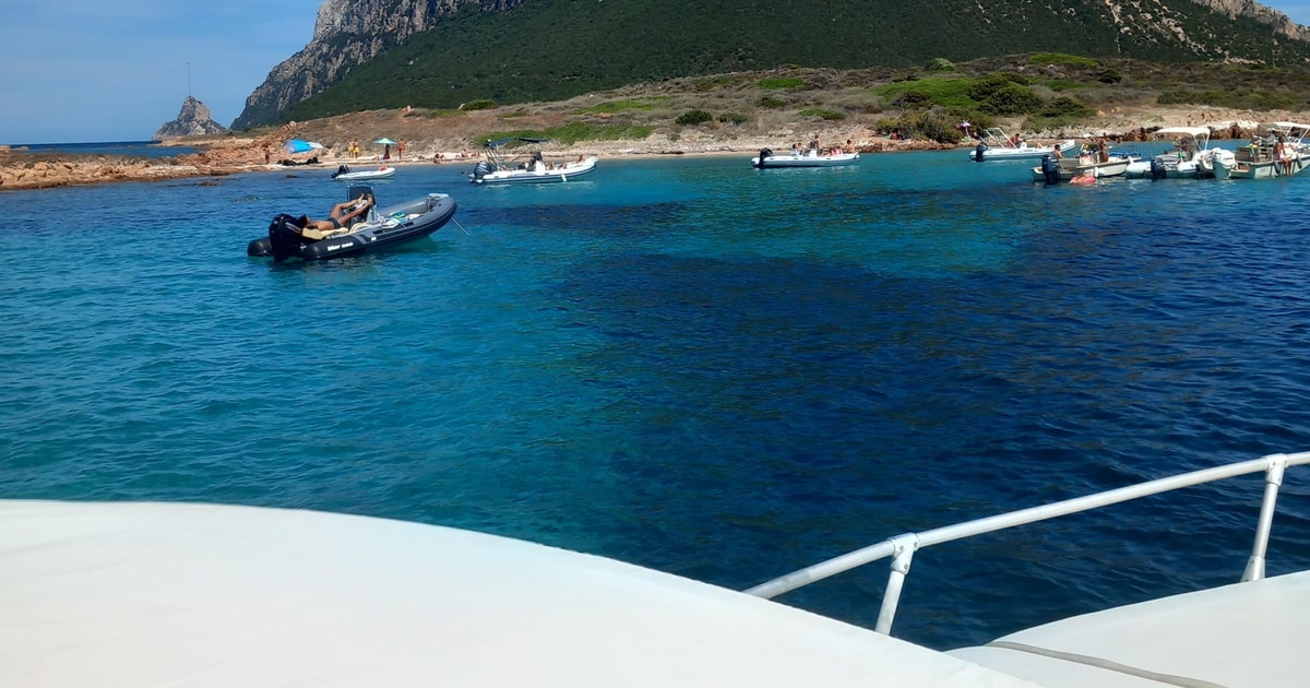Day trip by boat in the Tavolara and Molara Marine Protected Area ...