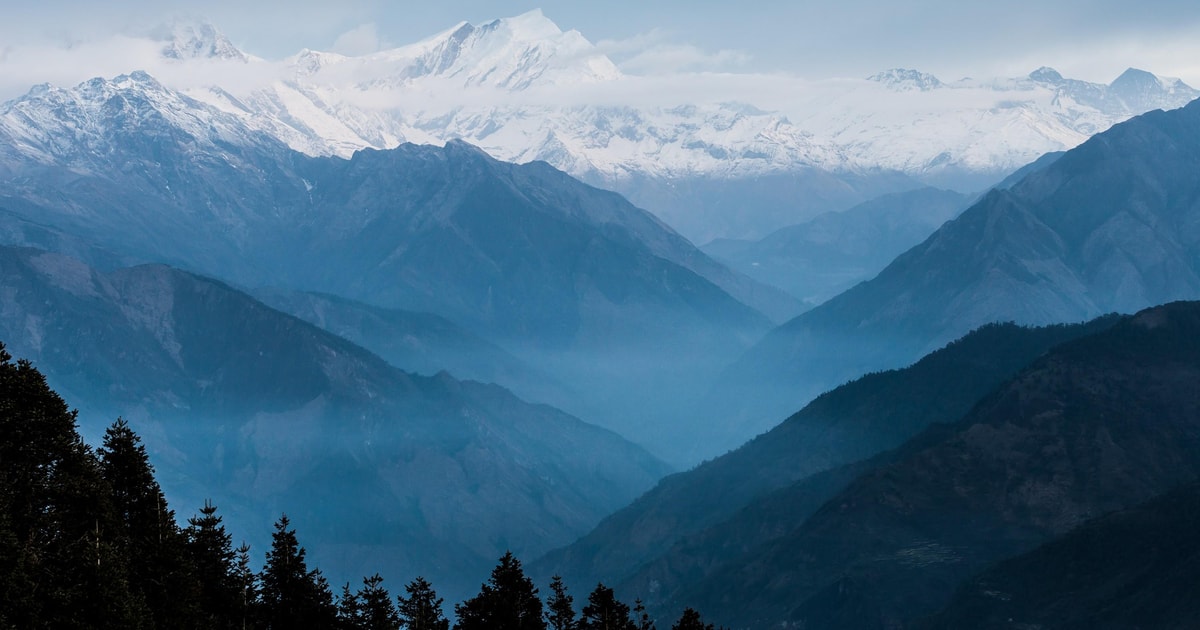 Dampus: Guided Day Hike To Australian Base Camp | GetYourGuide