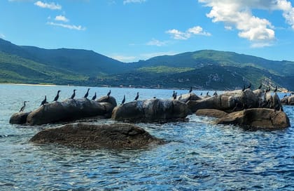 Glass bottom boat trip/ 2 Hours/ Cultural tour/ Swim allowed | GetYourGuide