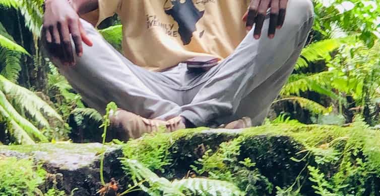 Dar es Salaam: Pugu Forest Day Trip with Guided Hike | GetYourGuide