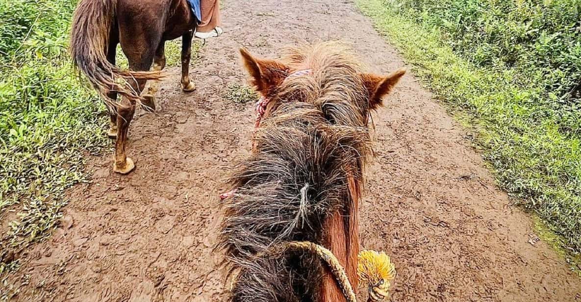 Galapagos horse riding the ridges of Sierra Negra Volcano | GetYourGuide