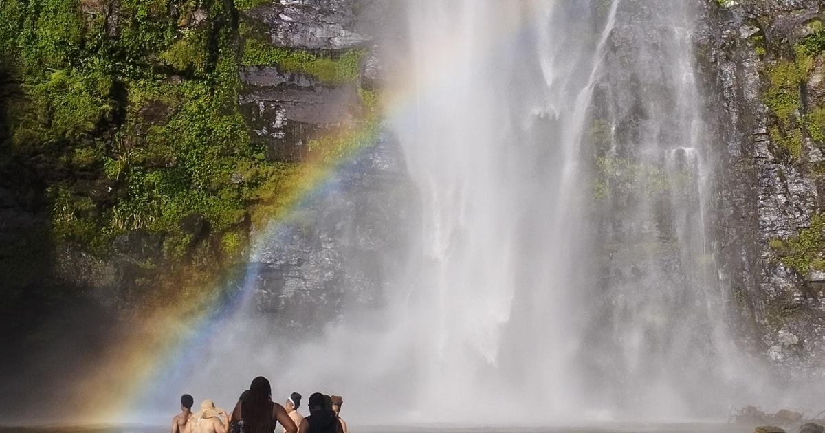 TAFI ATOME MONKEY SANCTUARY AND WLI WATERFALL | GetYourGuide