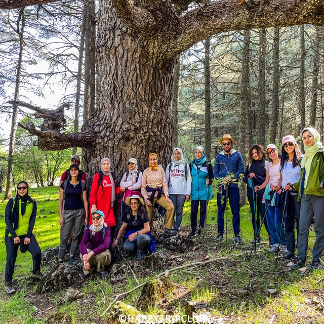 Middle Atlas:Day Trip From Fez To The Middle Atlas Mountains | GetYourGuide