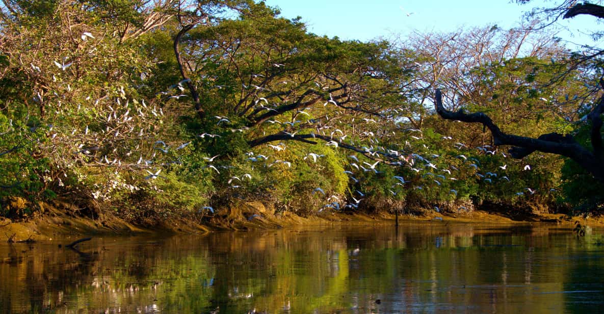 PALO VERDE BOAT TOUR & FARMING TOUR | GetYourGuide