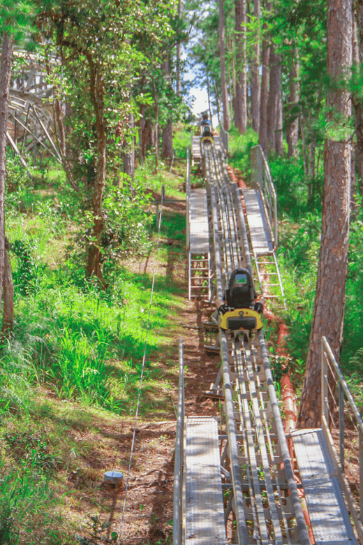 Da Lat : Datanla New Alpine Coaster Experience billet d'entrée ...