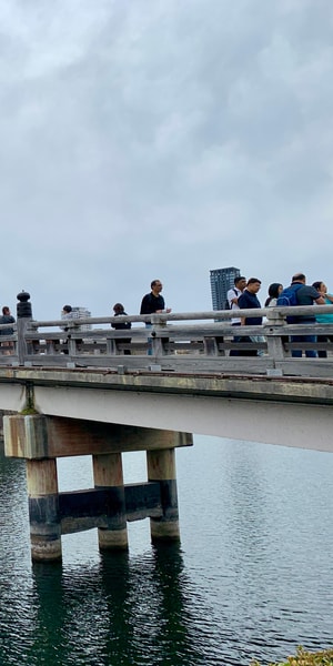 Osaka: Guided Walking Tour with a Native Expert – Top Sights | GetYourGuide