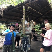 Chiang Rai: Jungle Adventure-Group Trekking & Bamboo Cooking | GetYourGuide