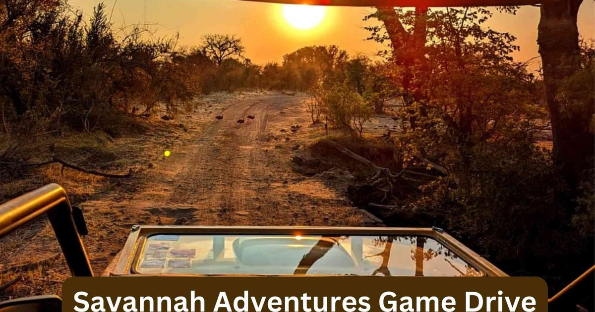 Victoria Falls: Safari Game Drive Savannah Adventures | GetYourGuide
