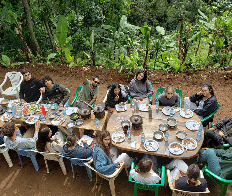 Materuni waterfall, coffee tour and picnic hotlunch | GetYourGuide
