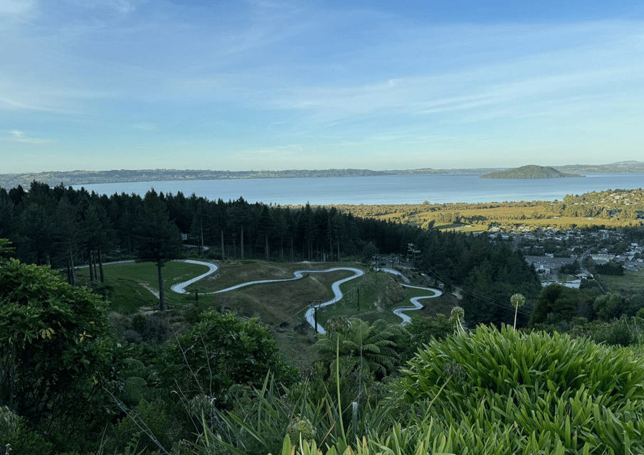 New Zealand Skyline Rotorua: Gondola + Buffet Dinner | GetYourGuide