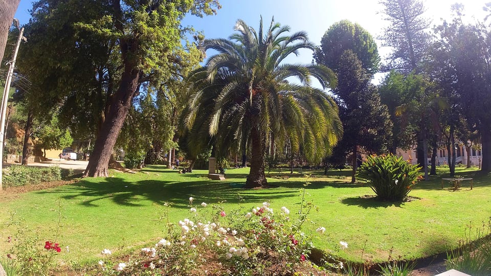 Authentic Viña del Mar: Garden City Highlights | GetYourGuide