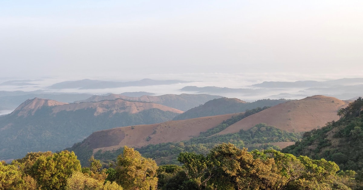 Kodachadri: Summit Trek with forest and cave experience | GetYourGuide
