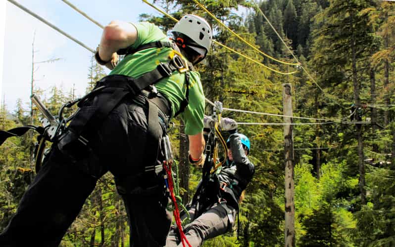 Ketchikan: Rainforest Zipline, Skybridge, & Rappel Adventure | GetYourGuide
