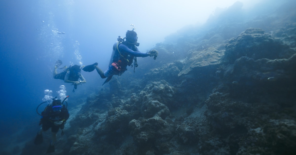 Andaman: Havelock Scuba Diving by PADI 5-Star Dive Center | GetYourGuide